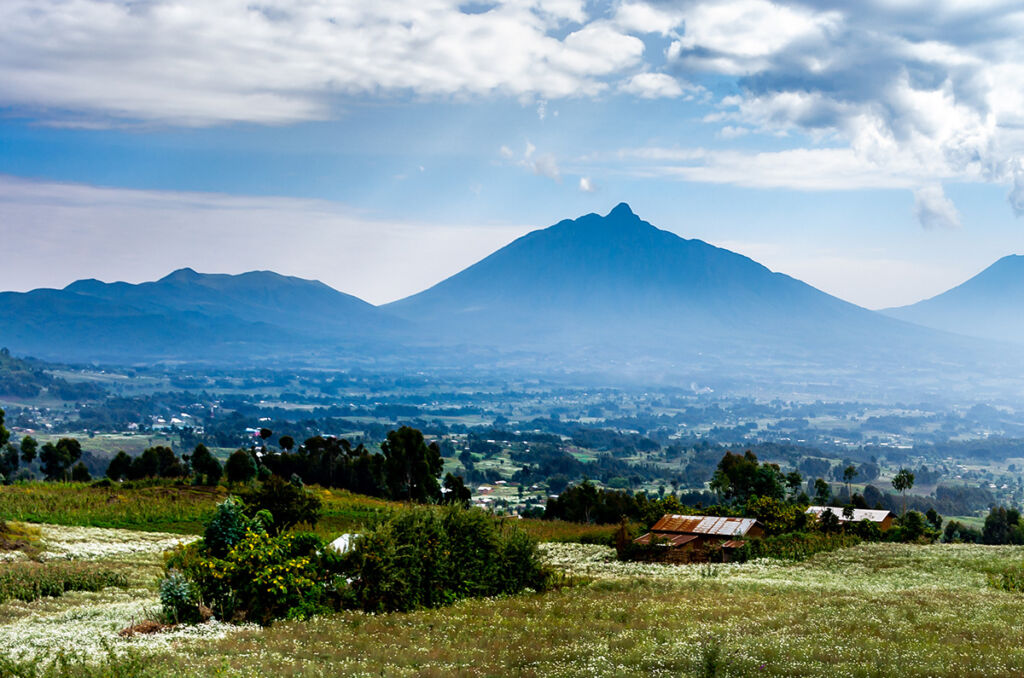 Rwanda’s cultural experience & gorilla trekking (incl. permit) - Fika ...